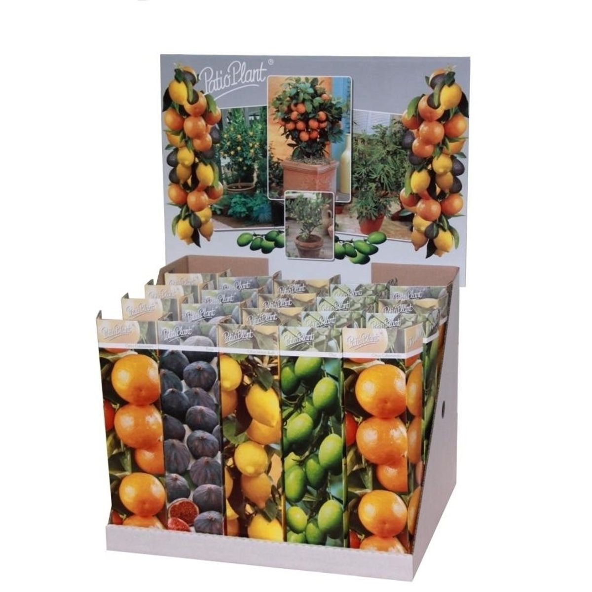 Fruit plants MIX — Plant Wholesale FlorAccess