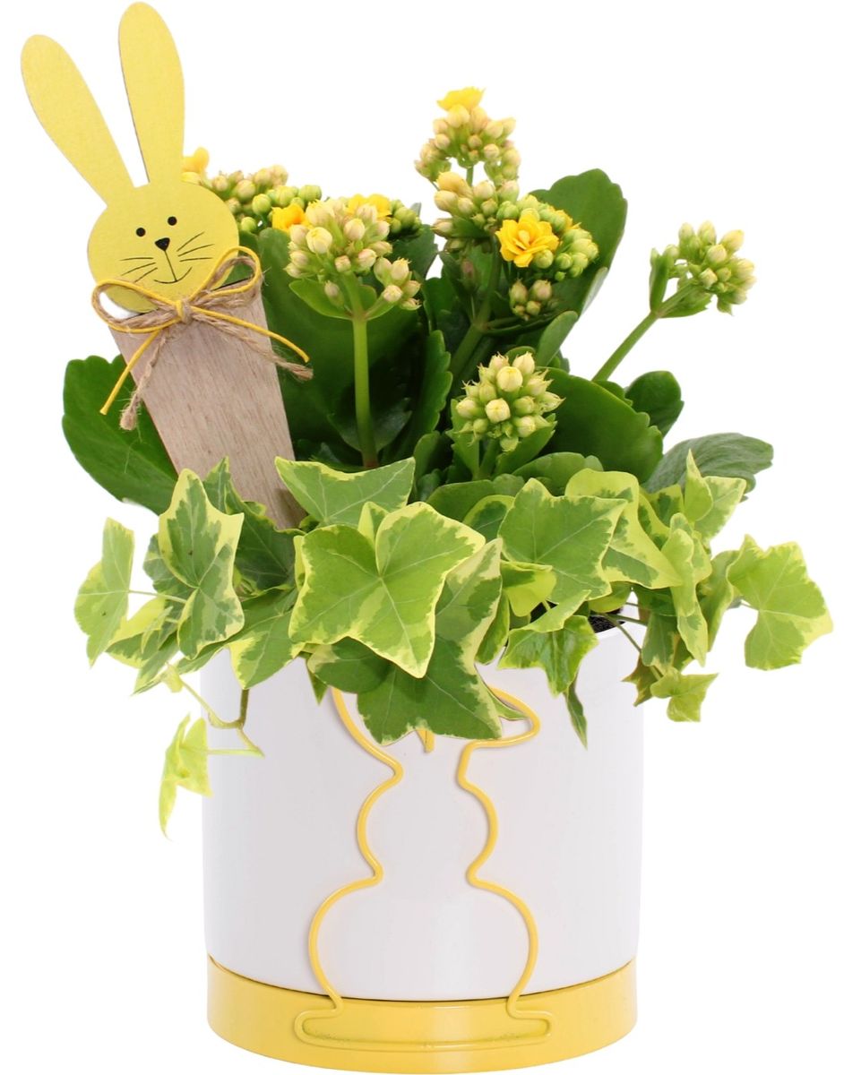 Arrangement Easter — Plant Wholesale FlorAccess