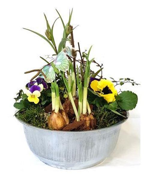 Arrangement Spring — Plant Wholesale FlorAccess