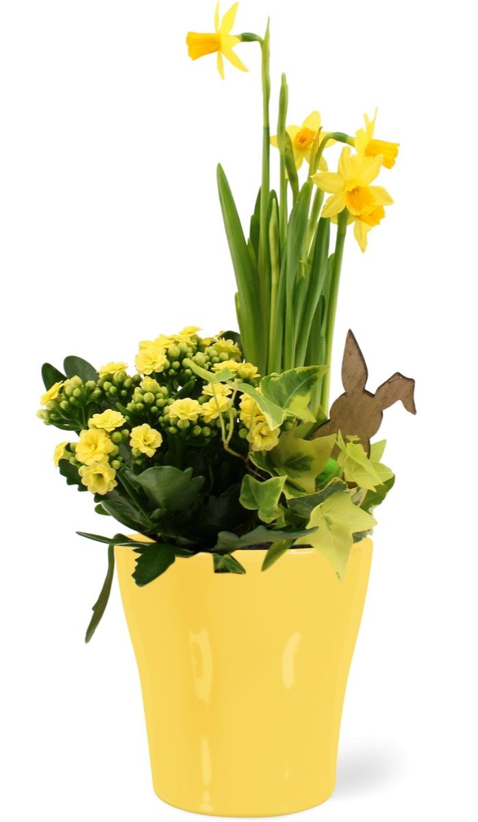 Arrangement Easter — Plant Wholesale FlorAccess