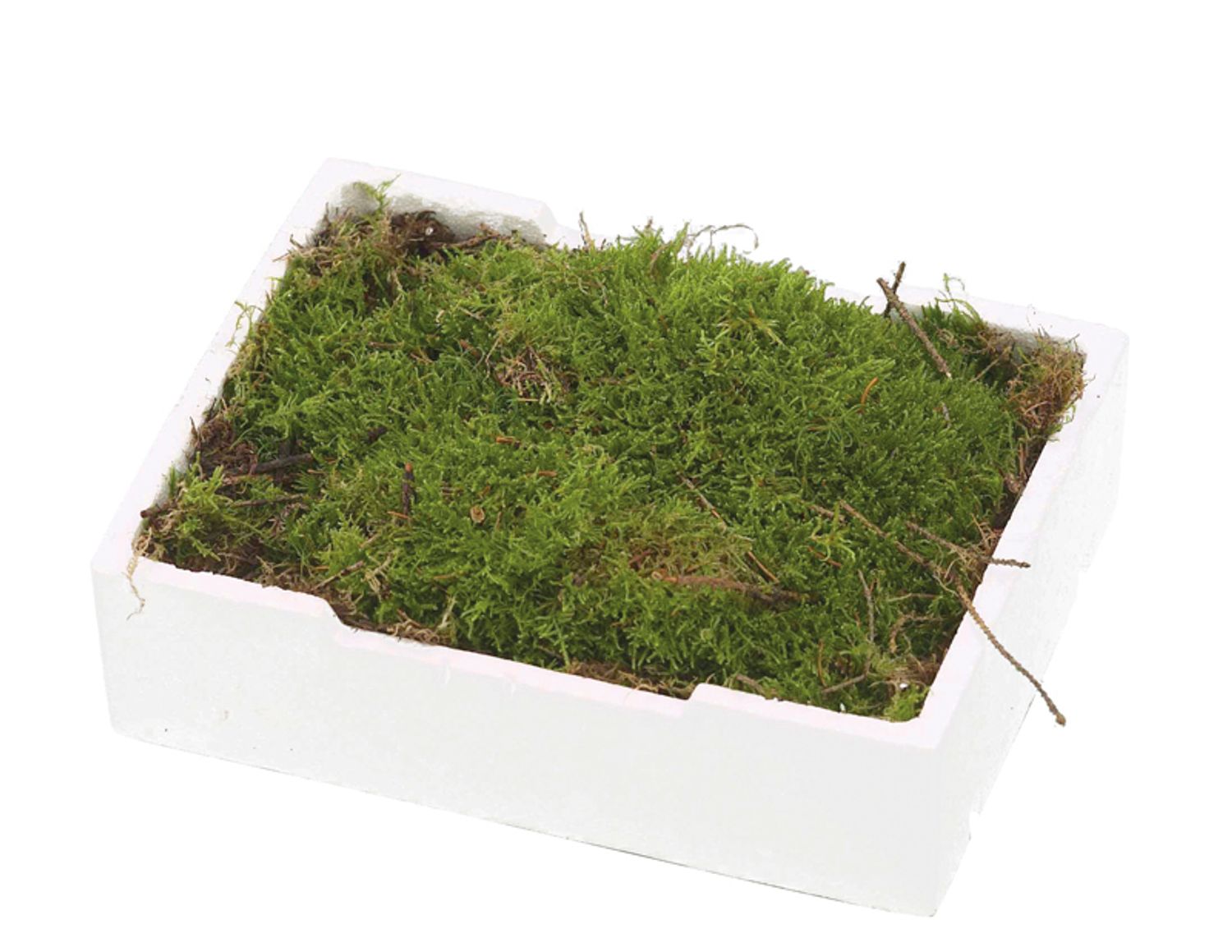 Substrates SHEET MOSS — Plant Wholesale FlorAccess