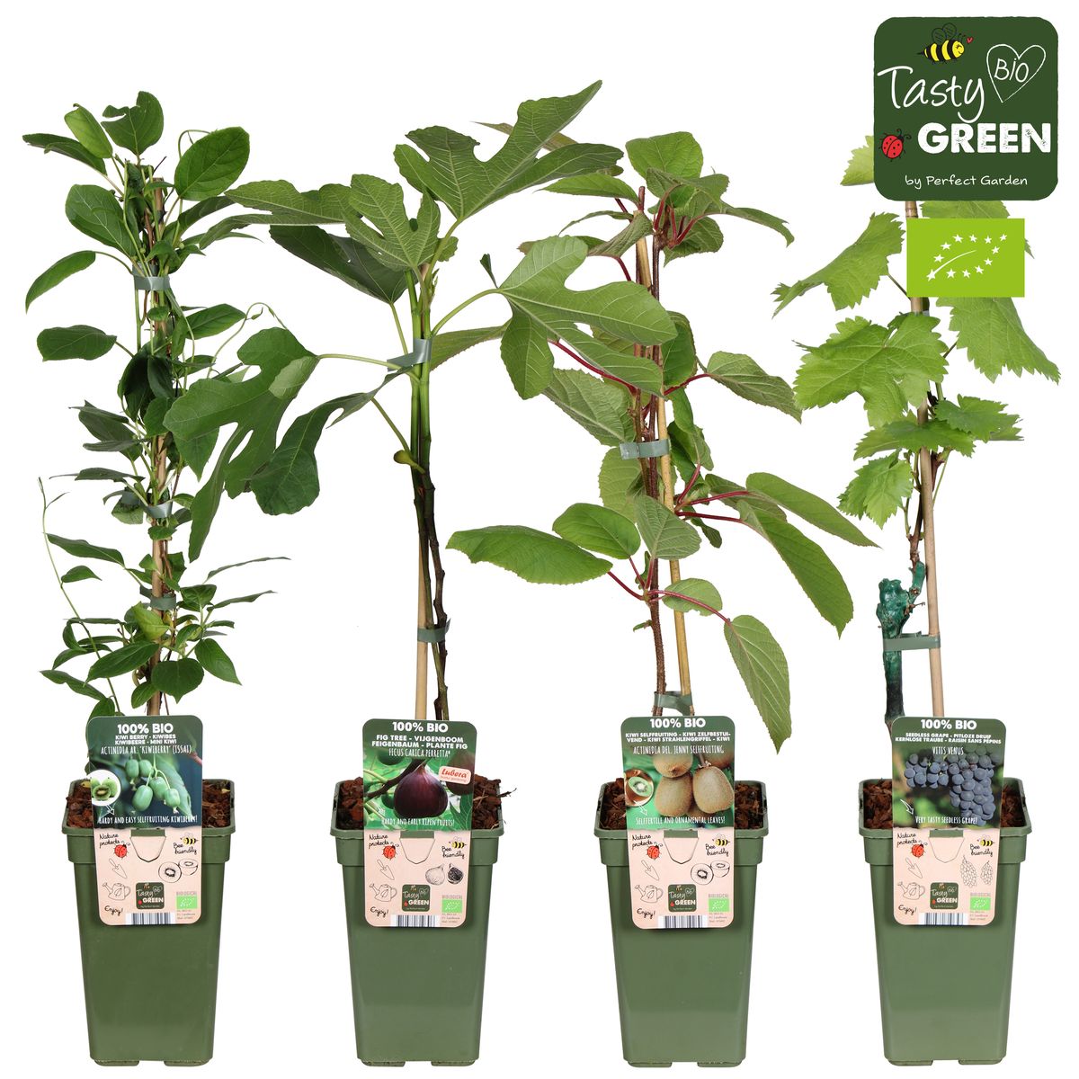 Fruit plants MIX — Plant Wholesale FlorAccess