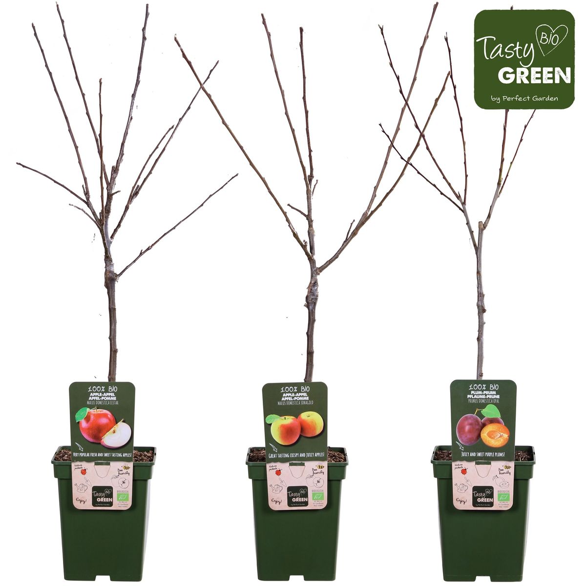 Fruit trees MIX — Plant Wholesale FlorAccess