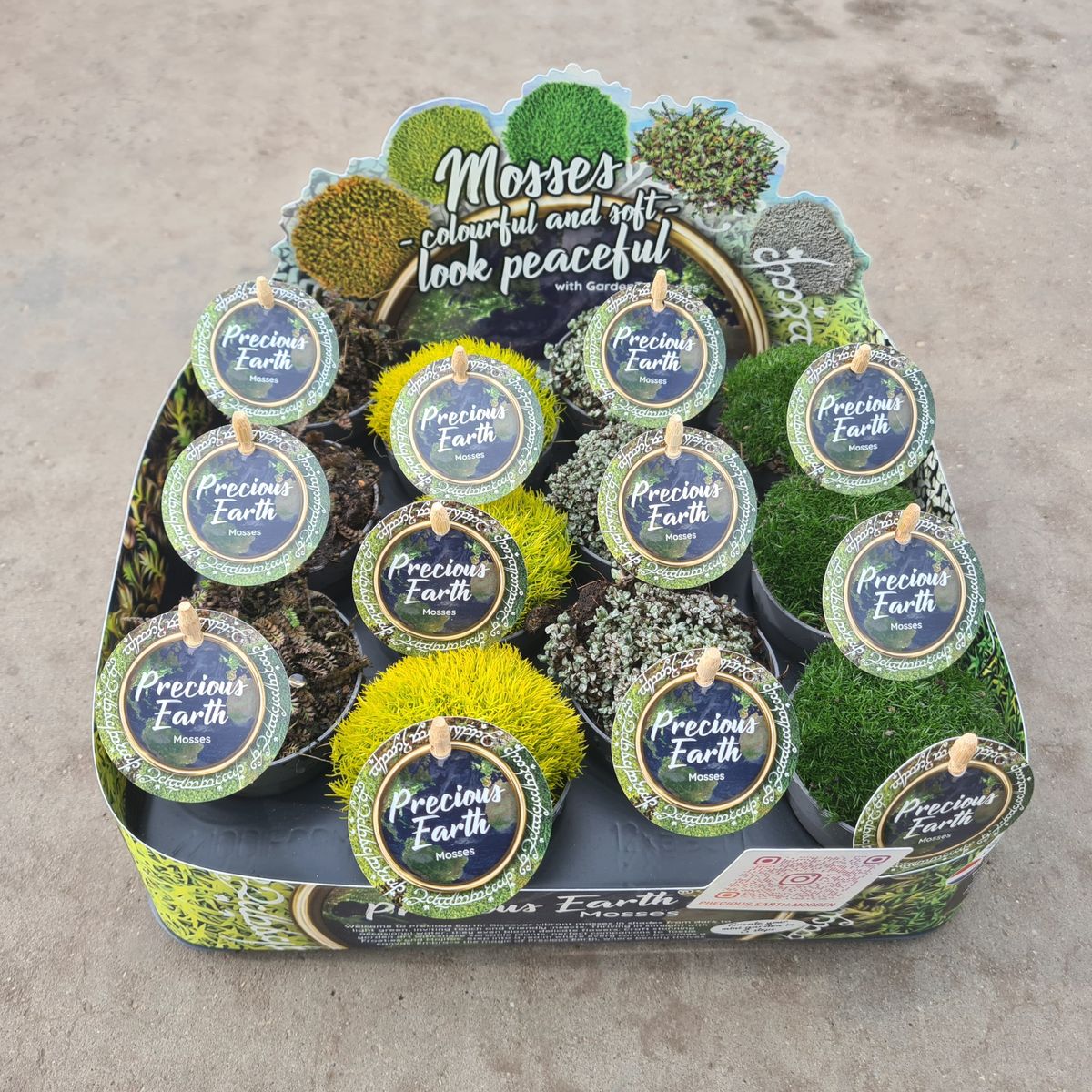 Moss MIX — Plant Wholesale FlorAccess