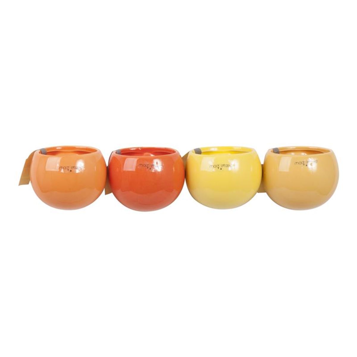 Pot 6 cm — Plant Wholesale FlorAccess