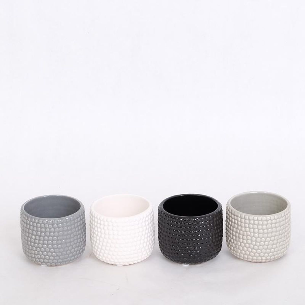 Pot 6 cm — Plant Wholesale FlorAccess