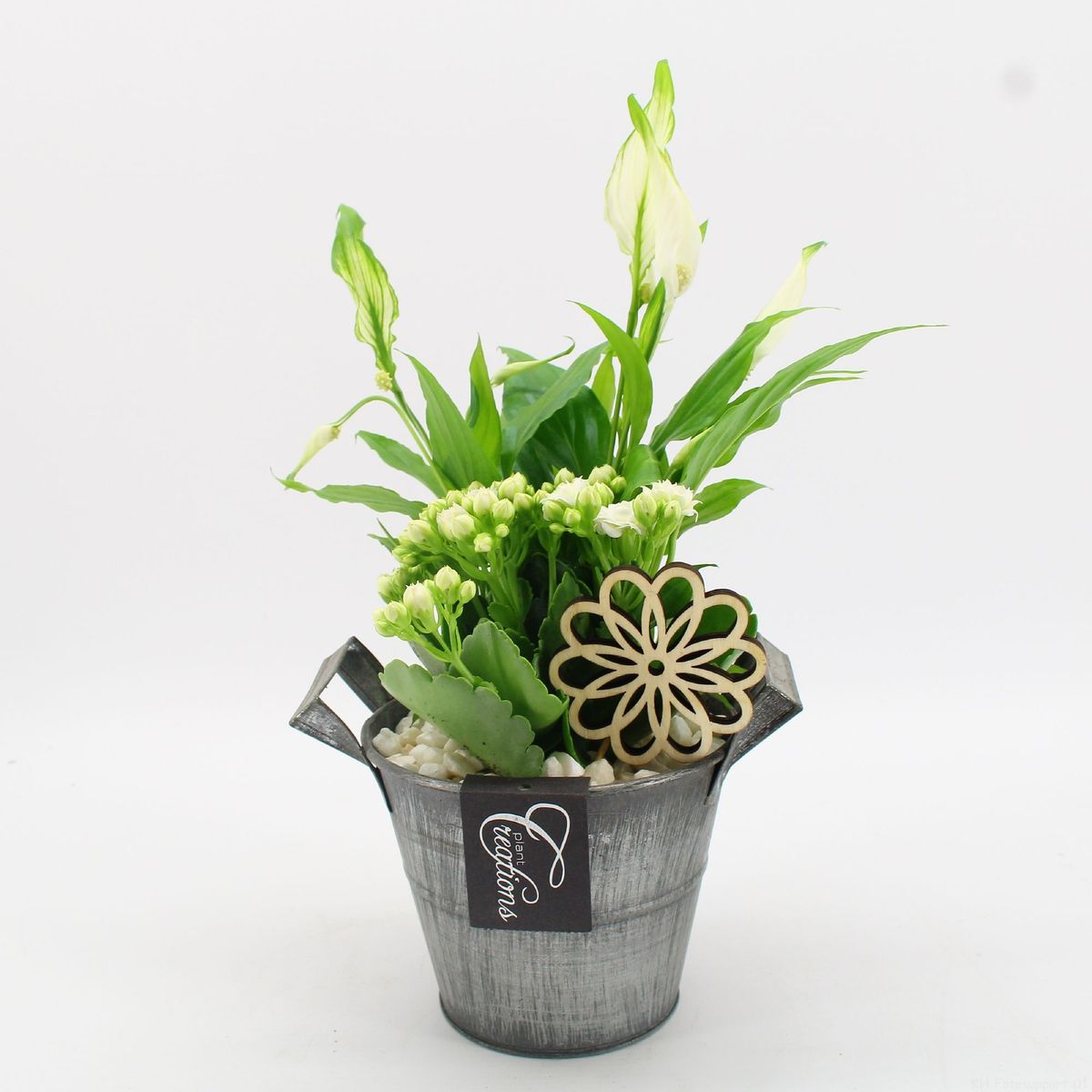 Arrangement Basic Fundamentals — Plant Wholesale FlorAccess