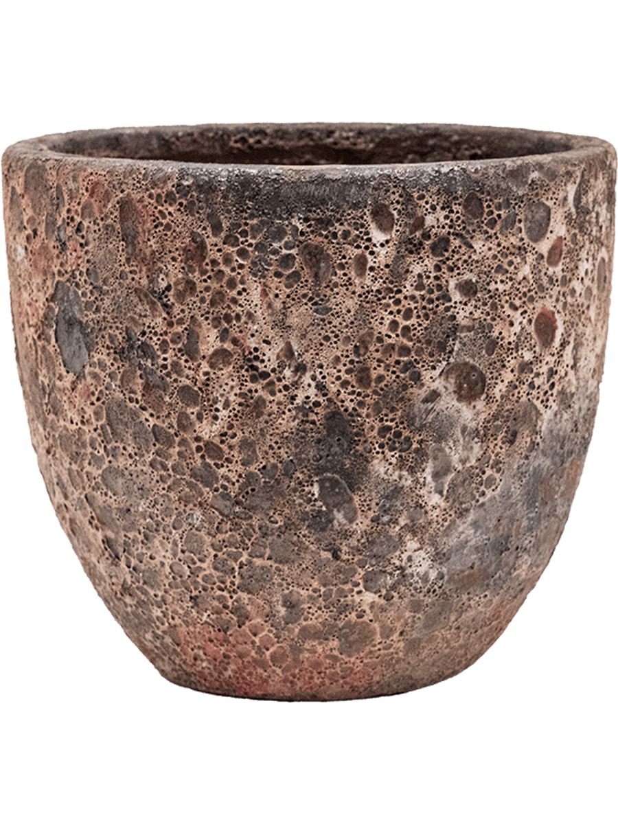 Pot Baq Lava — Plant Wholesale FlorAccess