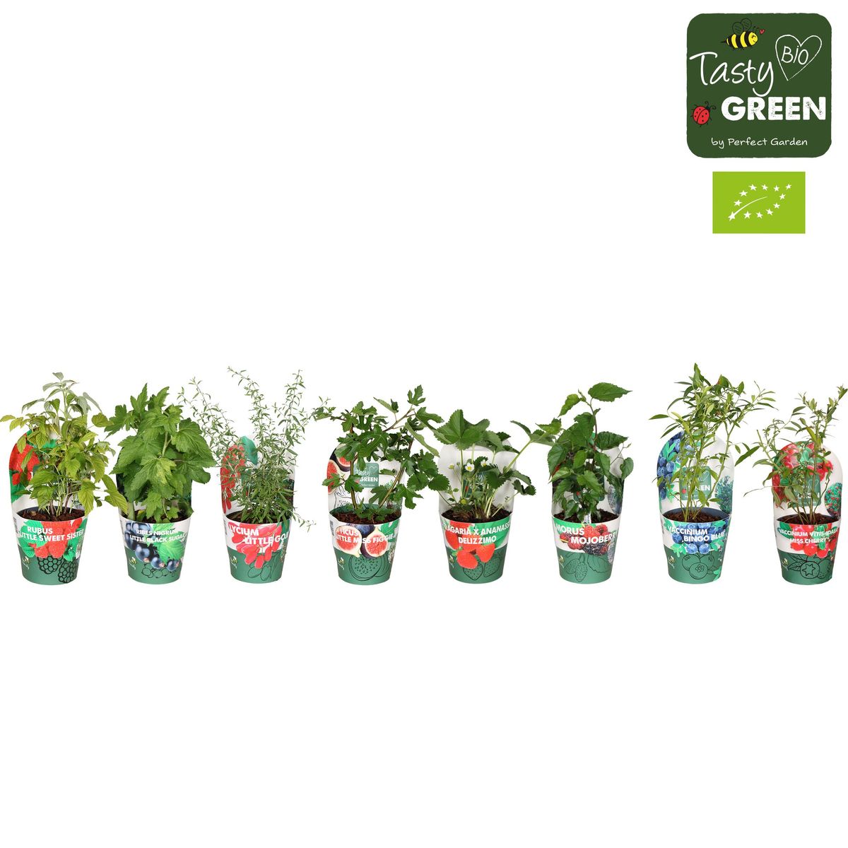 Fruit trees MIX — Plant Wholesale FlorAccess