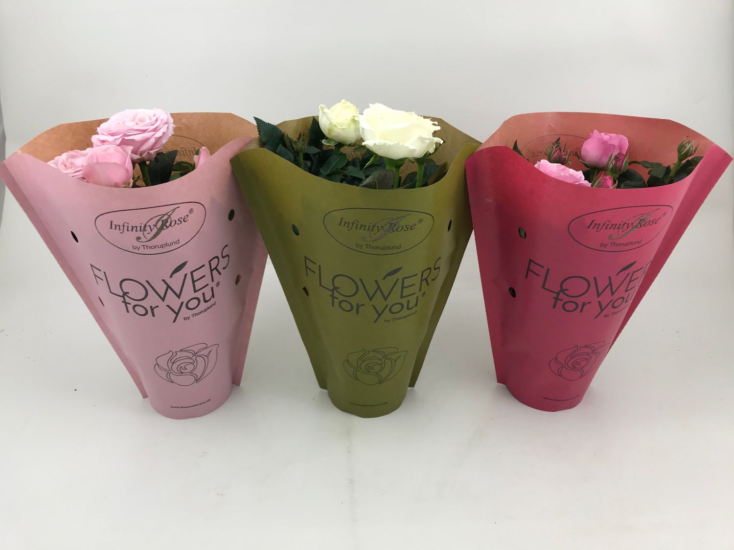 Rosa INFINITY — Plant Wholesale FlorAccess