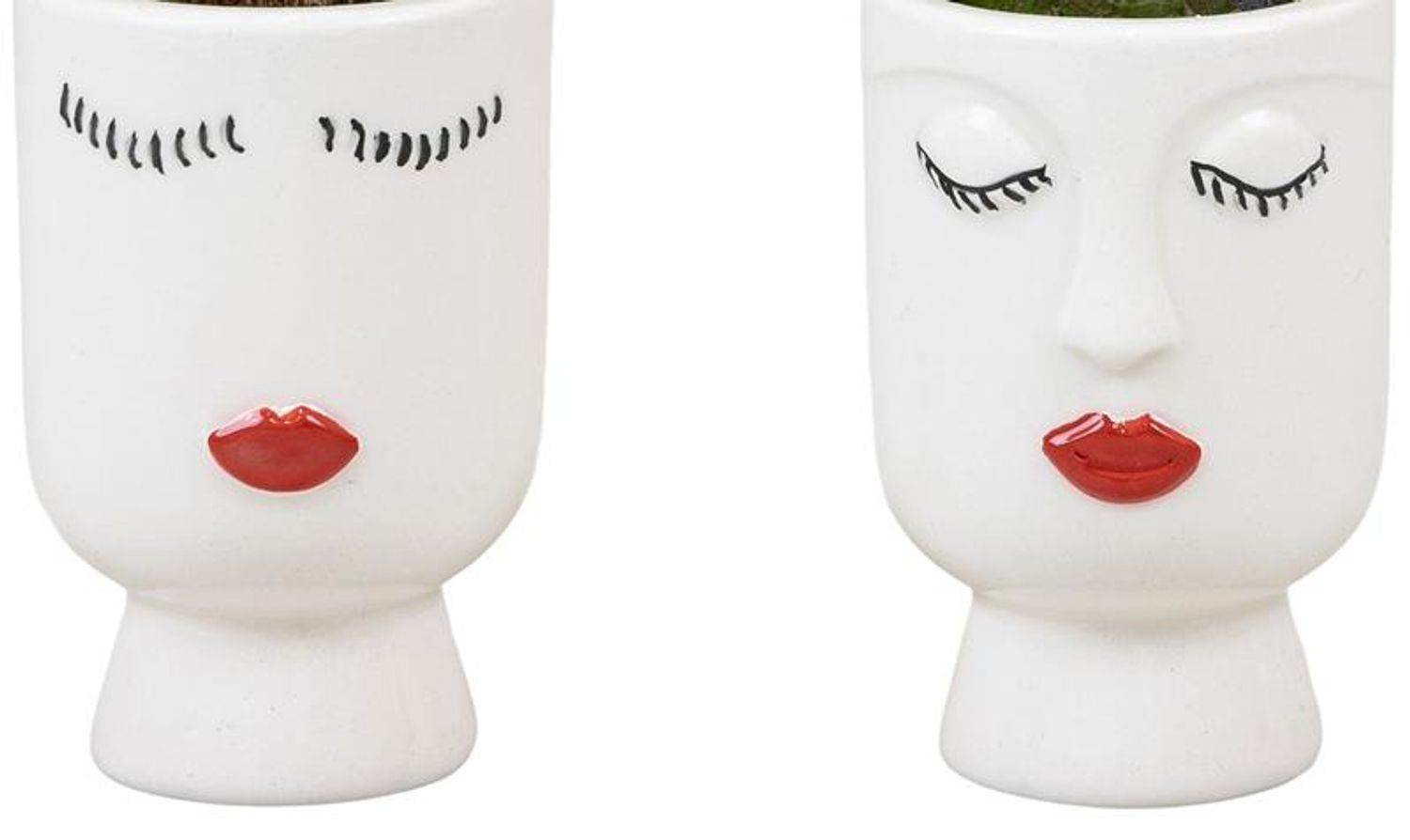 Pot 3.5 cm — Plant Wholesale FlorAccess