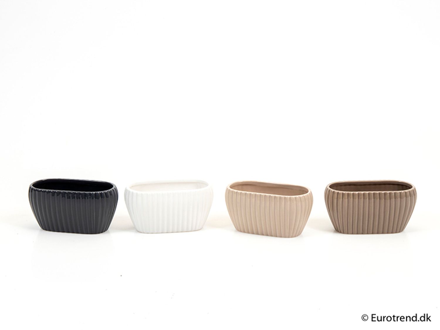 Pot 6 cm — Plant Wholesale FlorAccess