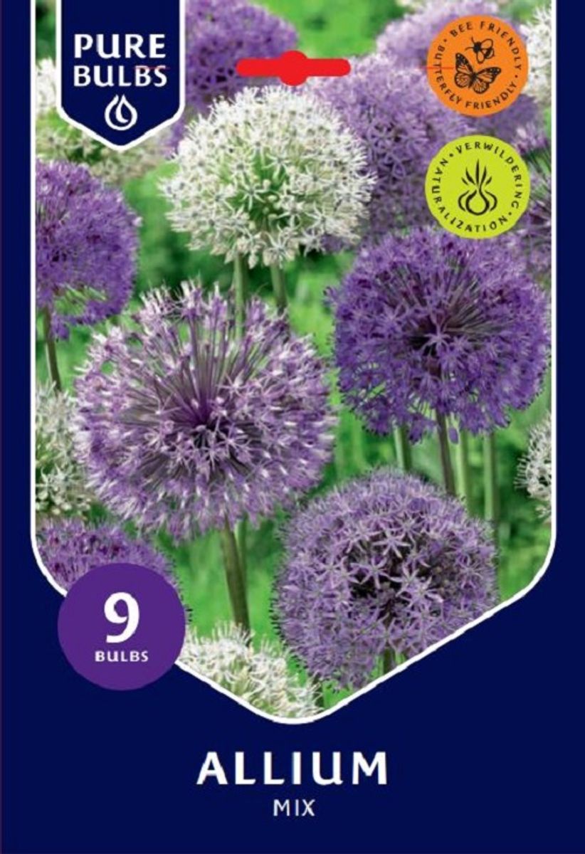 Allium MIX — Plant Wholesale FlorAccess