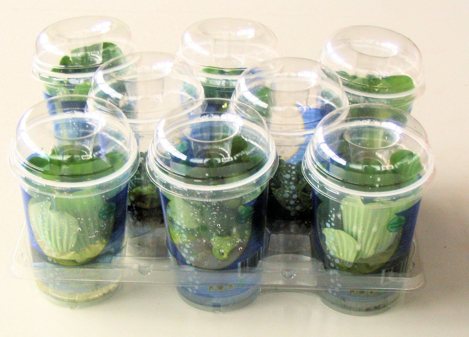 Aquatic plants FLOATING MIX — Plant Wholesale FlorAccess