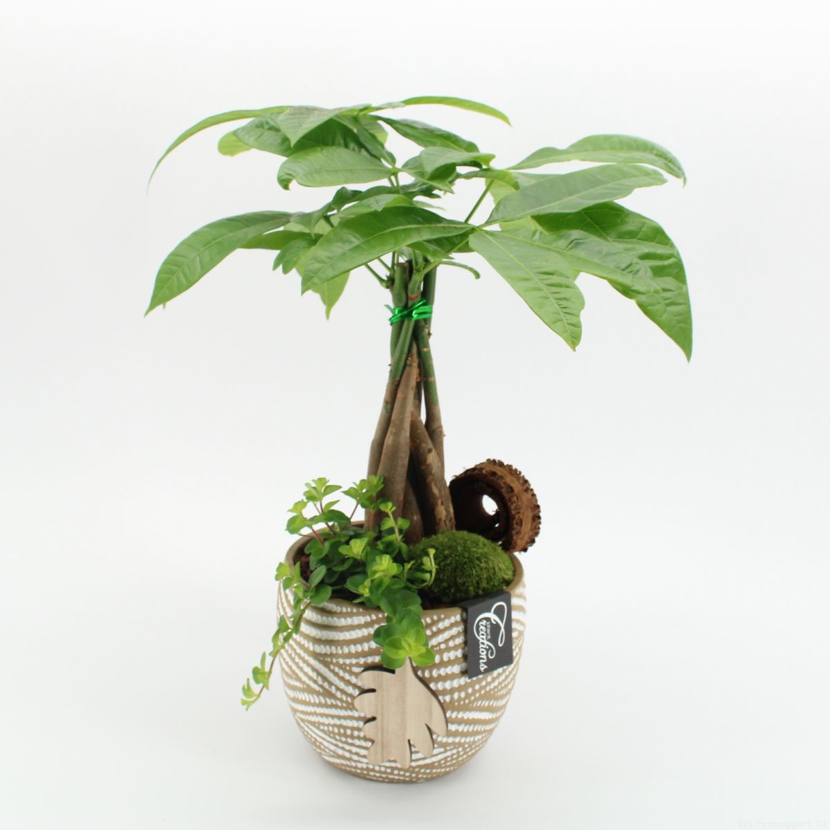 Arrangement Autumn — Plant Wholesale FlorAccess