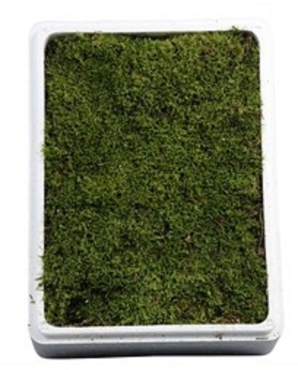 Substrates SHEET MOSS — Plant Wholesale FlorAccess