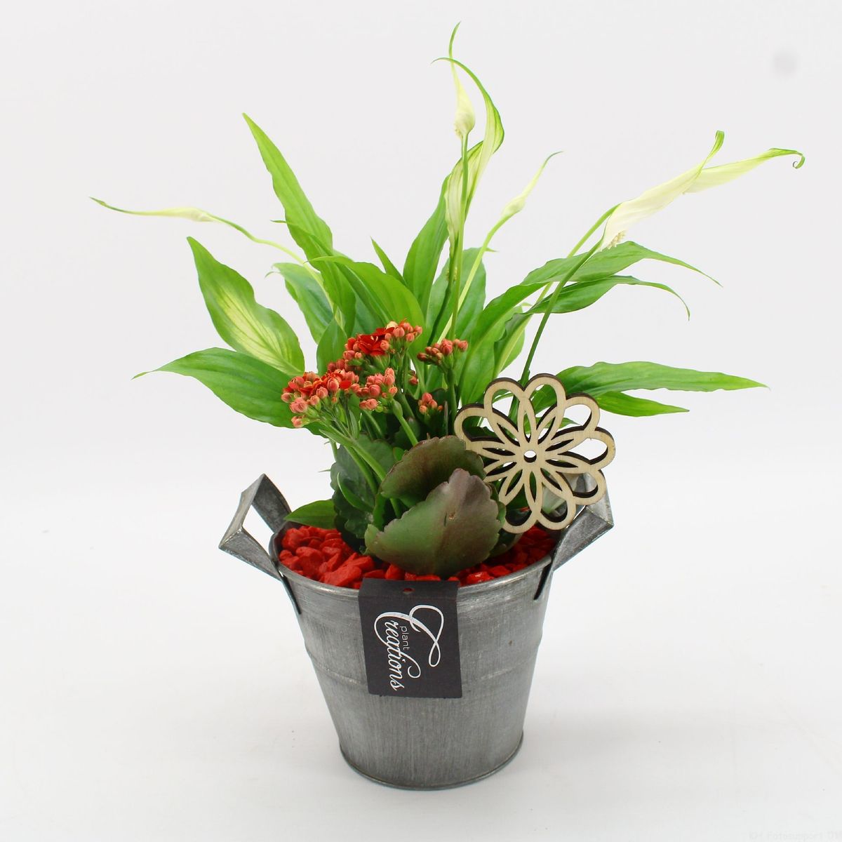 Arrangement Basic Fundamentals — Plant Wholesale FlorAccess