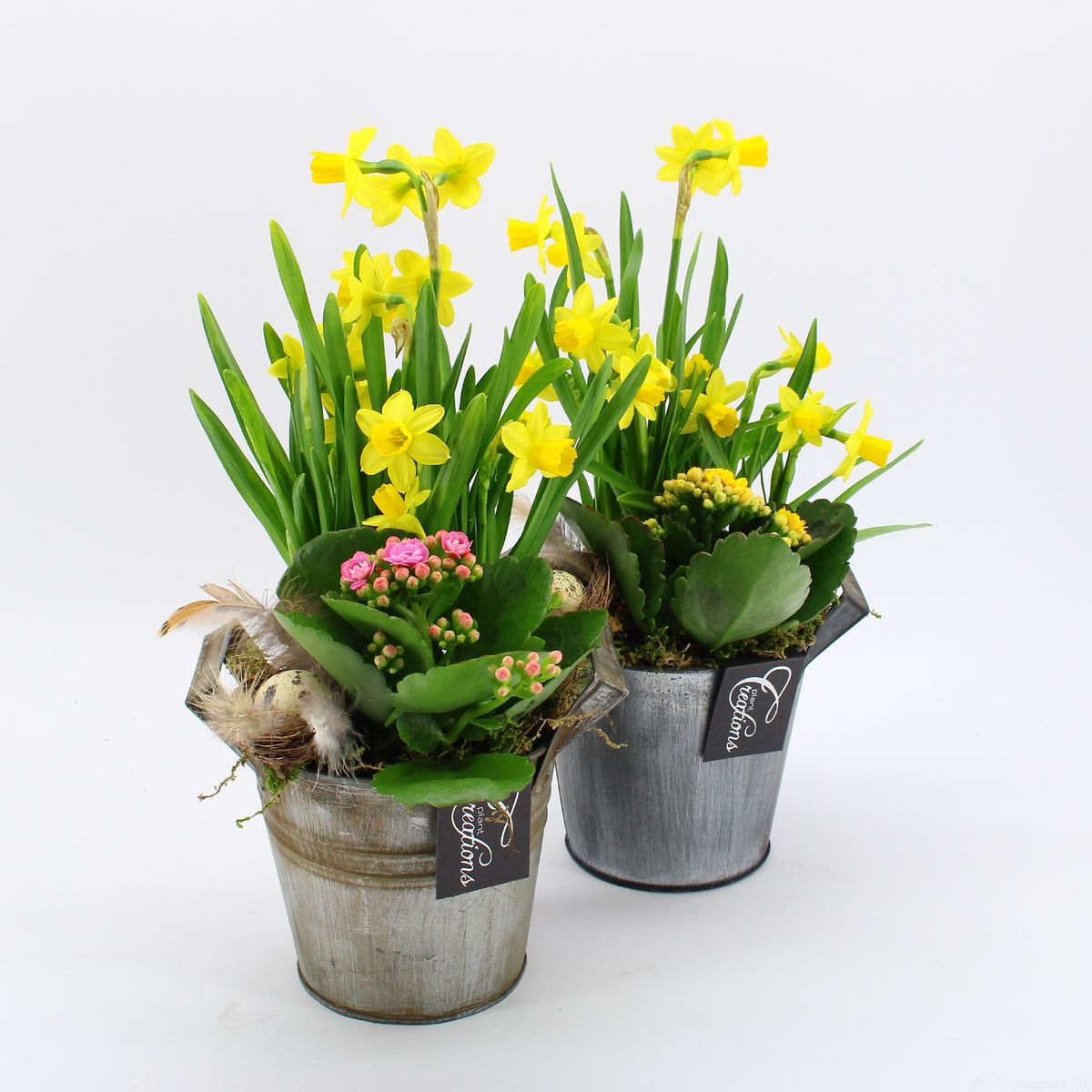 Arrangement Easter — Plant Wholesale FlorAccess