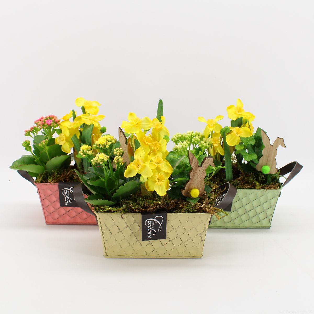 Arrangement Easter — Plant Wholesale FlorAccess