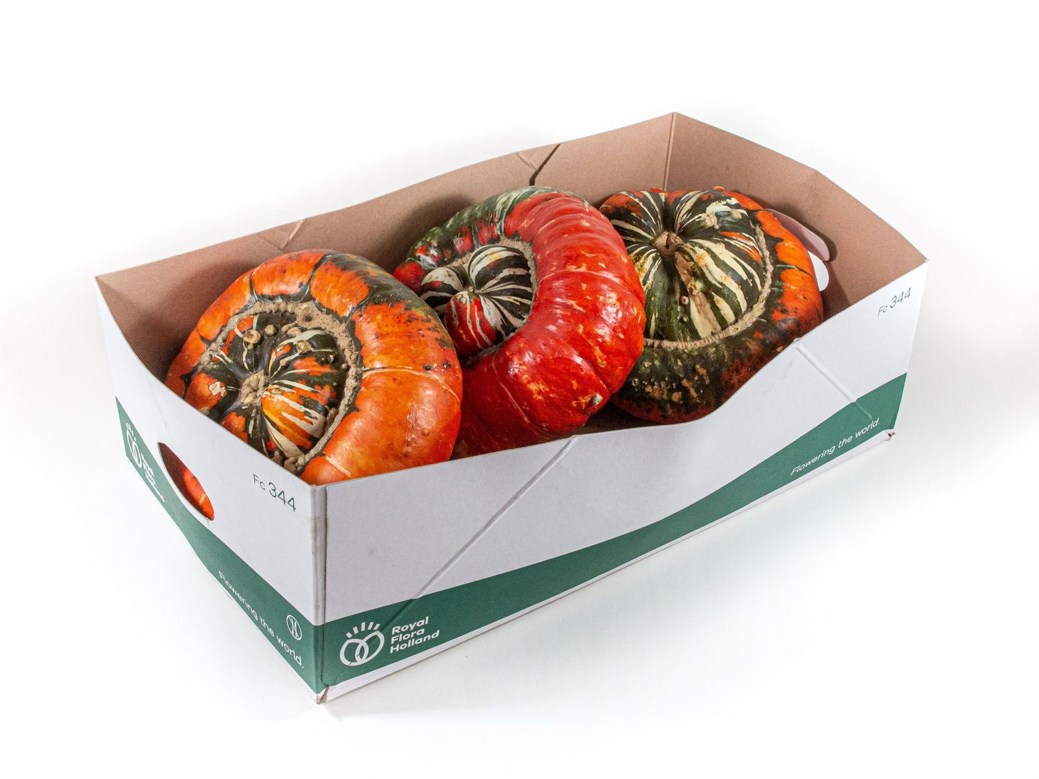 Cucurbita maxima TURK'S TURBAN MIX — Plant Wholesale FlorAccess