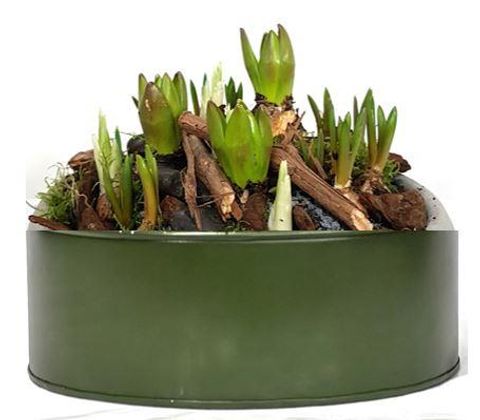 Arrangement Spring — Plant Wholesale FlorAccess