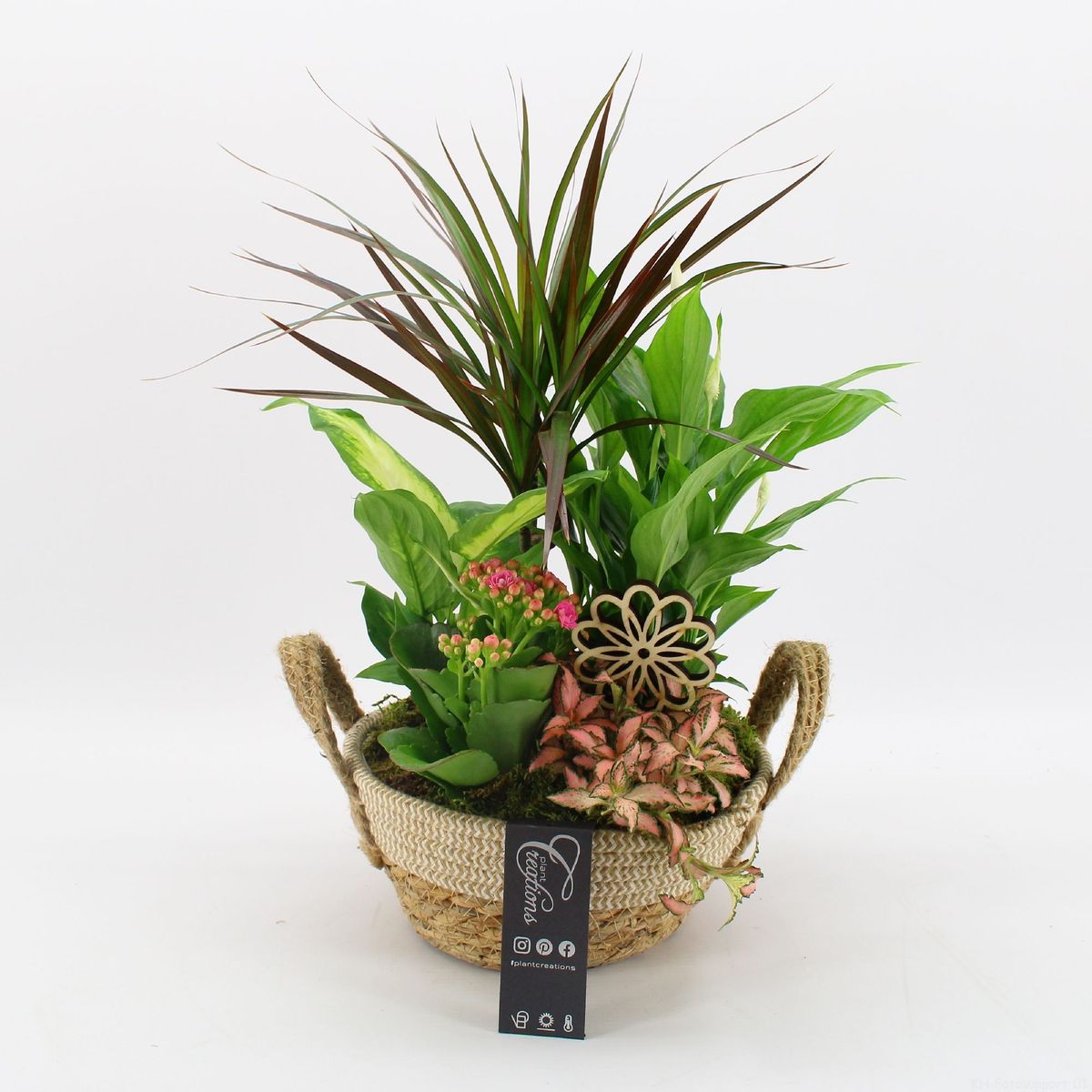 Arrangement Basic Fundamentals — Plant Wholesale FlorAccess