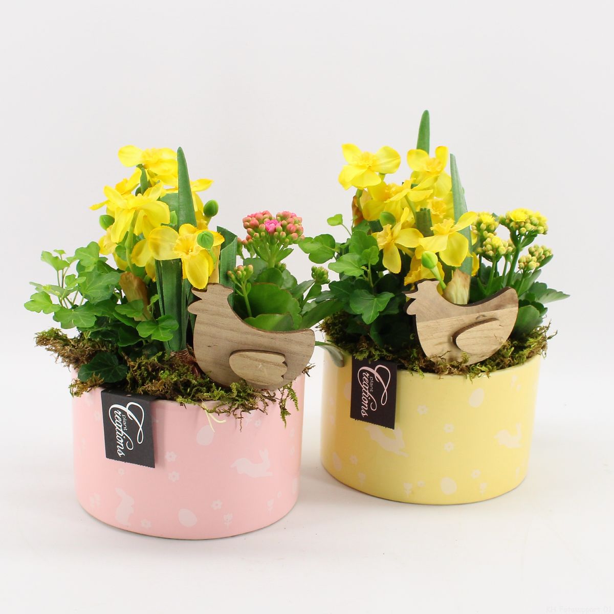 Arrangement Easter — Plant Wholesale FlorAccess