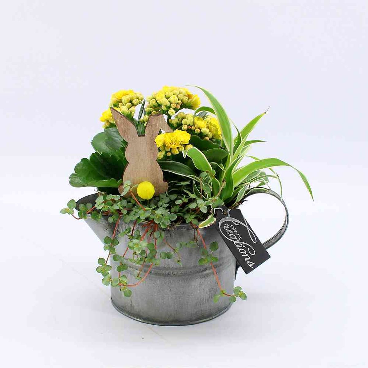 Arrangement Easter — Plant Wholesale FlorAccess