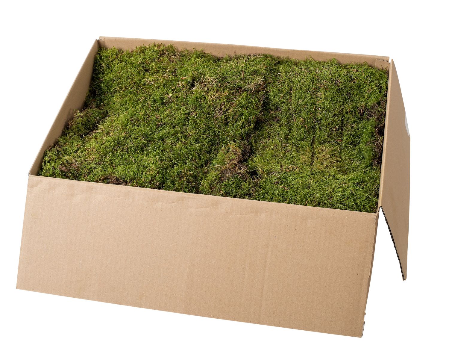 Substrates SHEET MOSS — Plant Wholesale FlorAccess