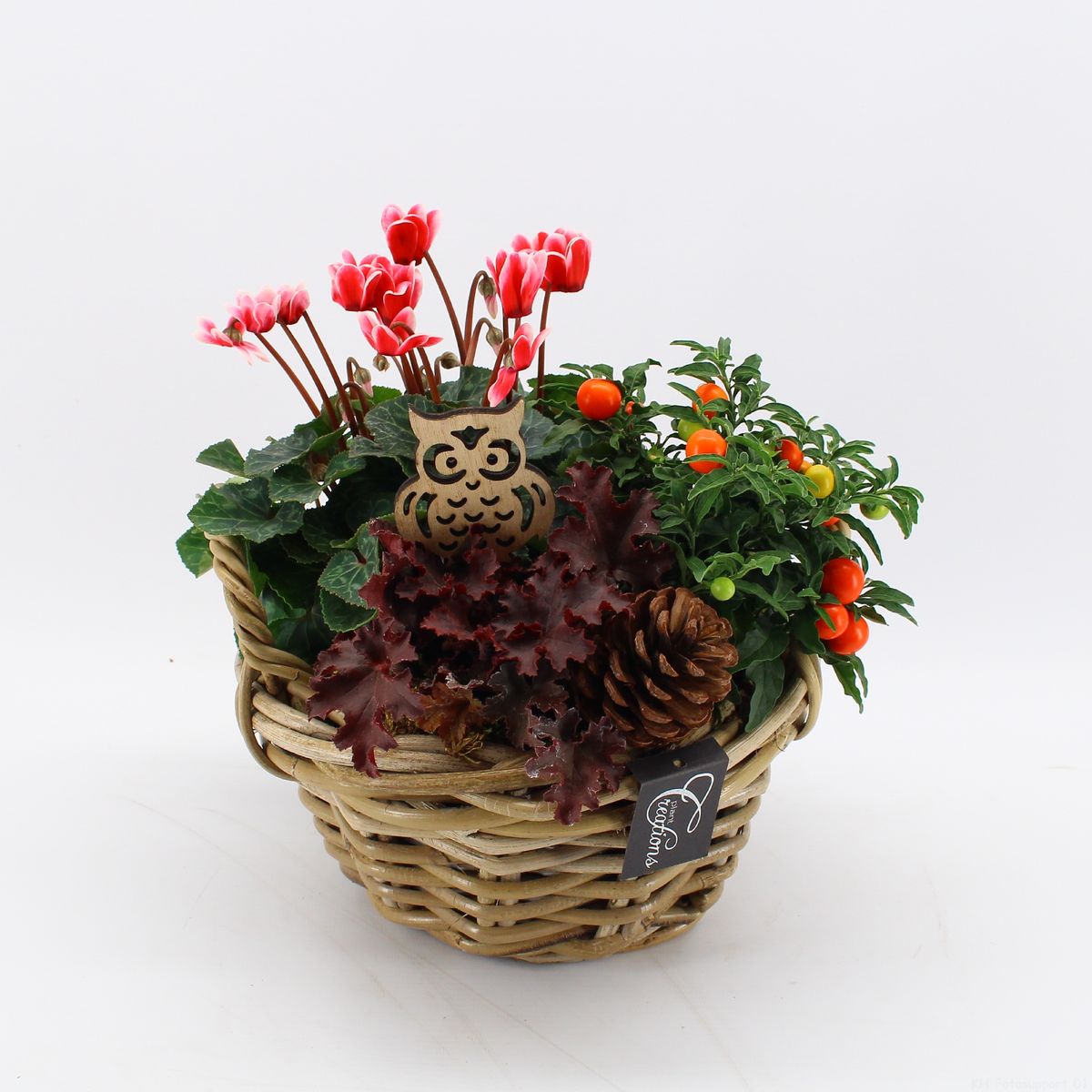 Arrangement Autumn — Plant Wholesale FlorAccess
