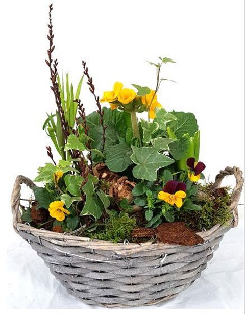 Arrangement Spring — Plant Wholesale FlorAccess