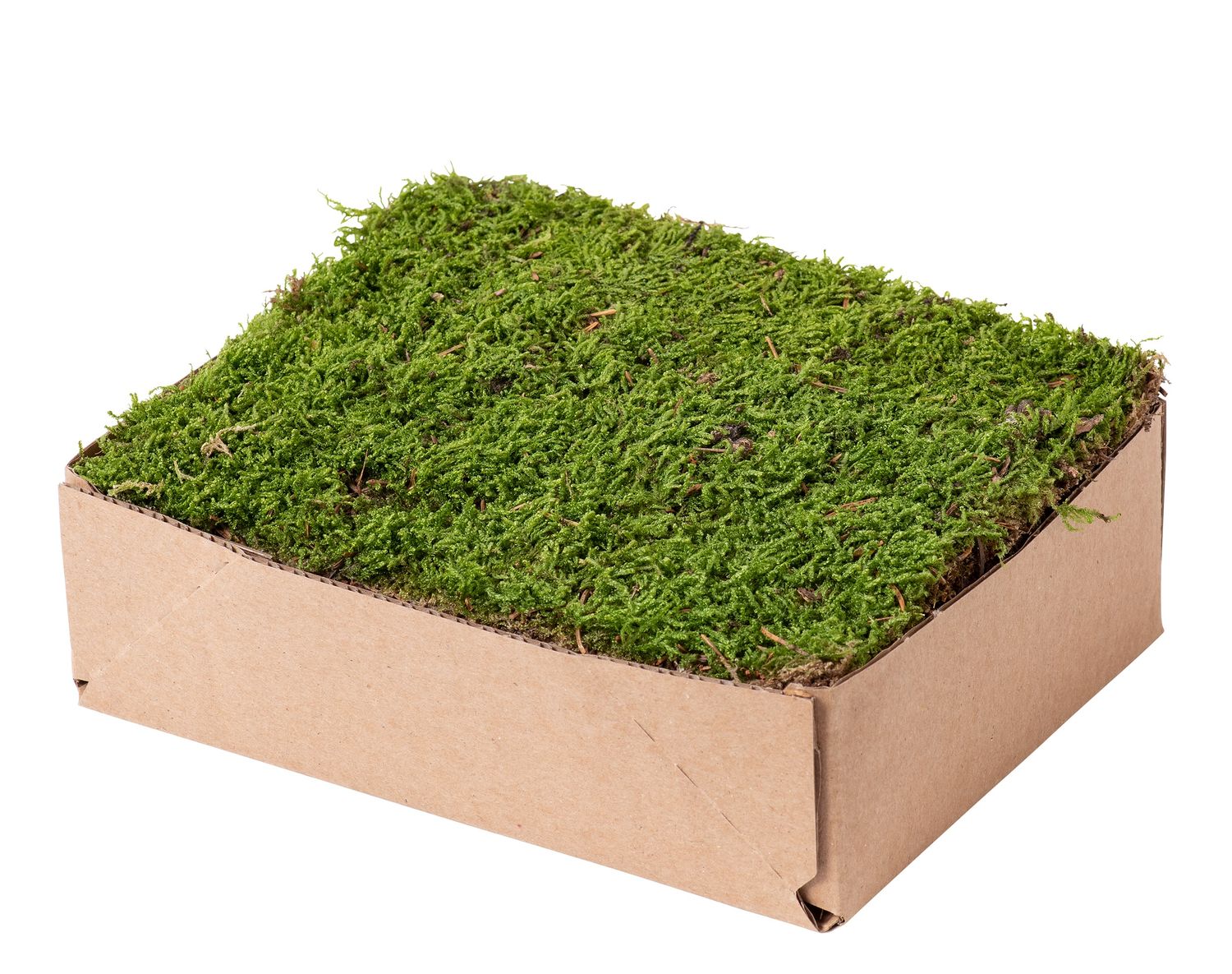 Substrates SHEET MOSS — Plant Wholesale FlorAccess