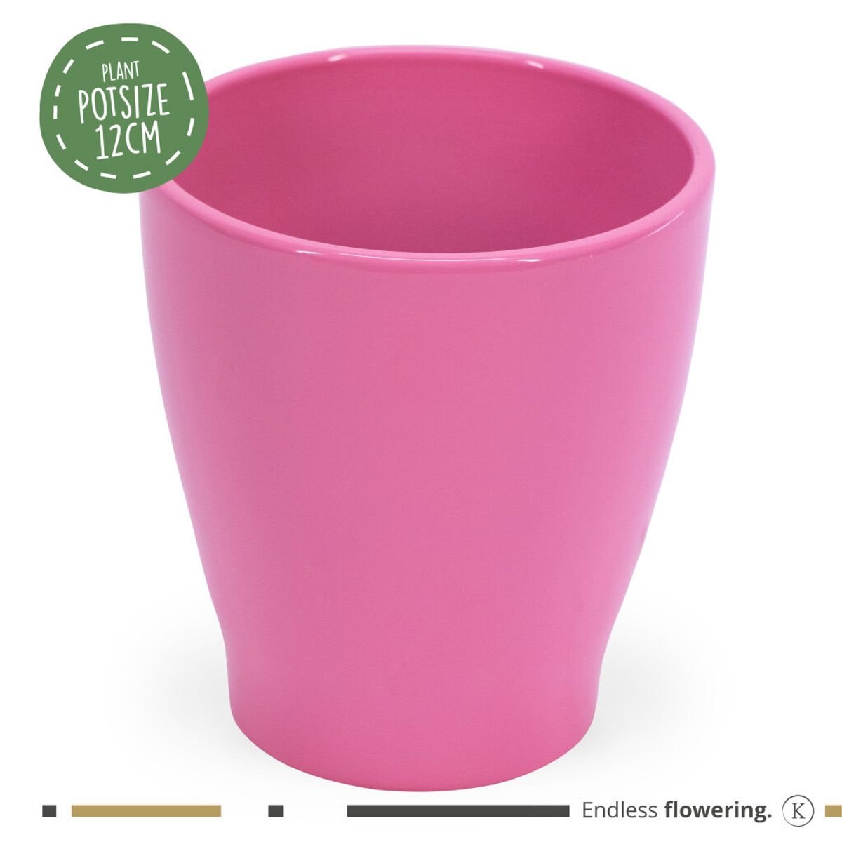 pot-12-cm-plant-wholesale-floraccess