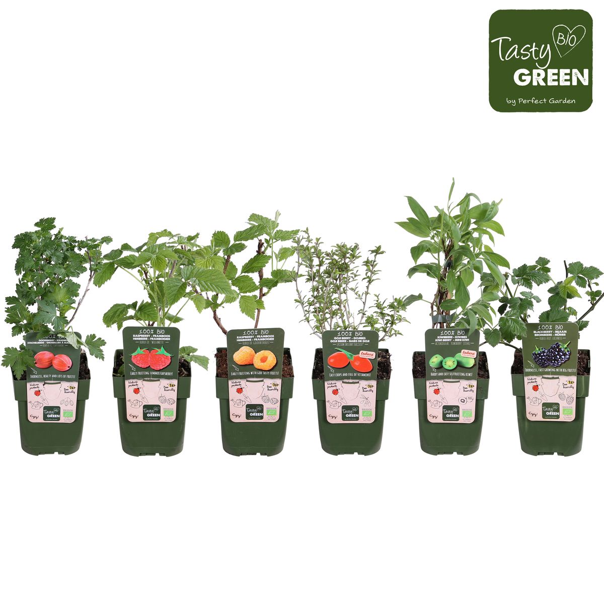 Fruit trees MIX — Plant Wholesale FlorAccess